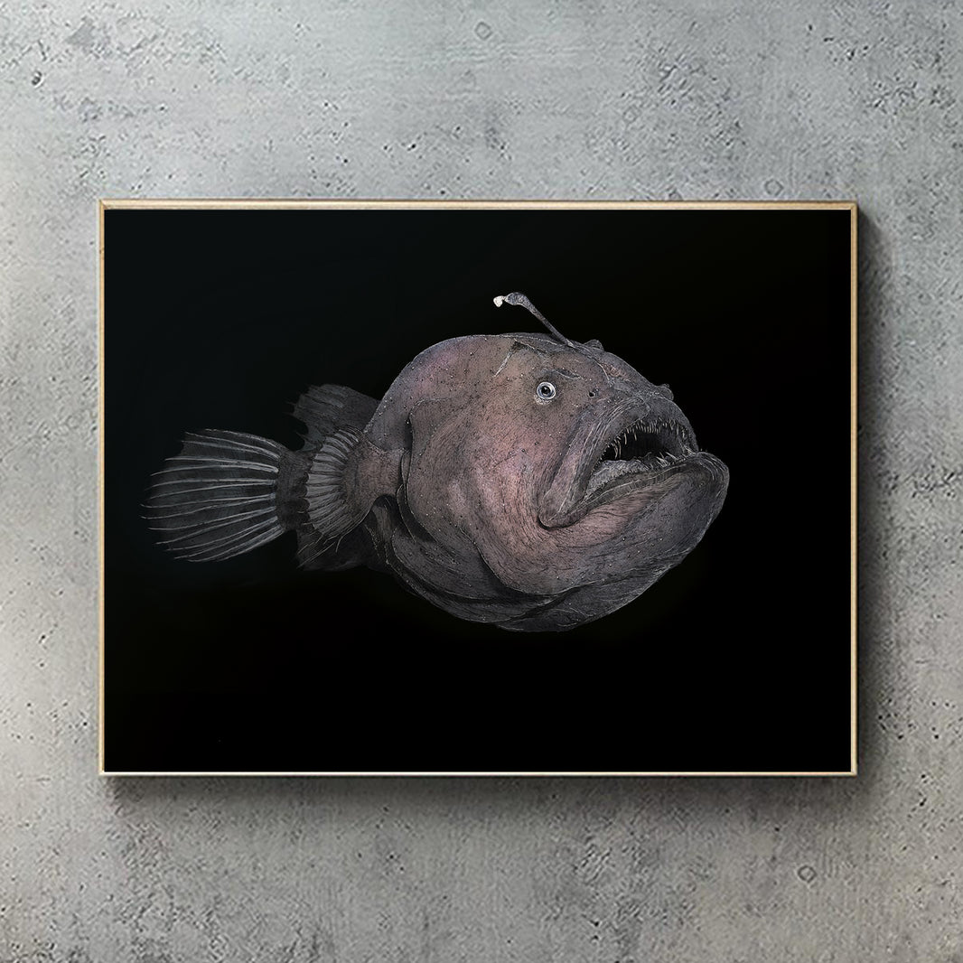 Ben Rothery illustrator | Hidden planet shop