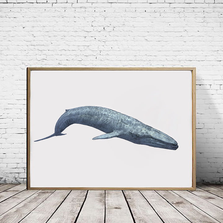 Ben Rothery illustrator | Hidden planet shop