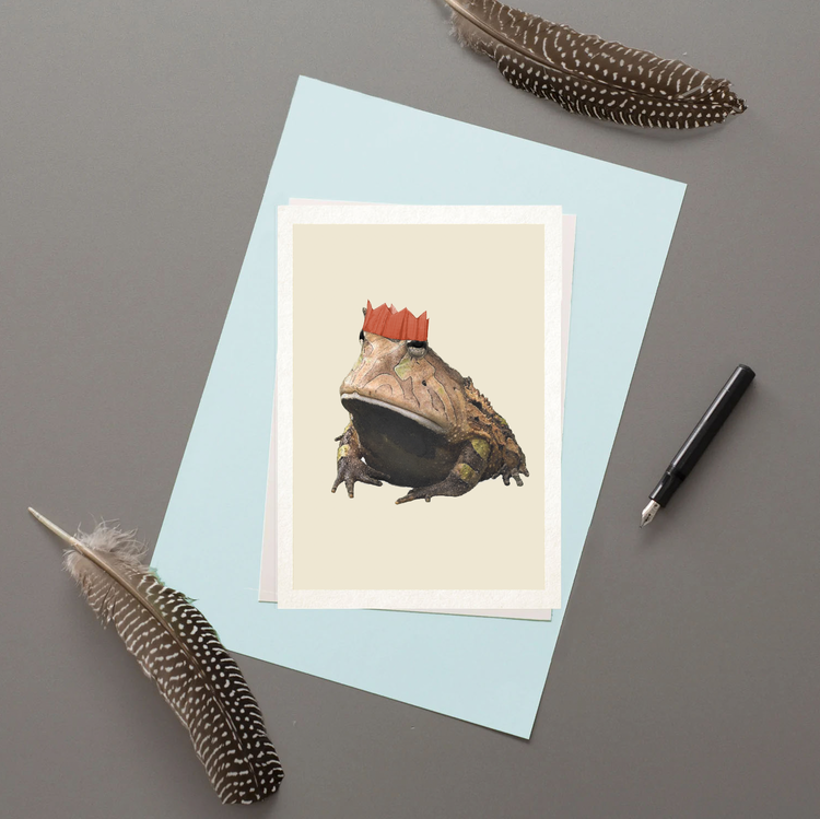 Ben Rothery illustrator | Hidden planet shop