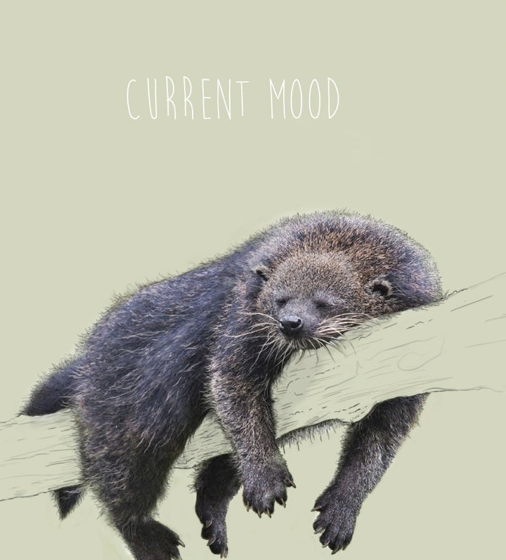 Ben Rothery illustrator | Hidden planet shop