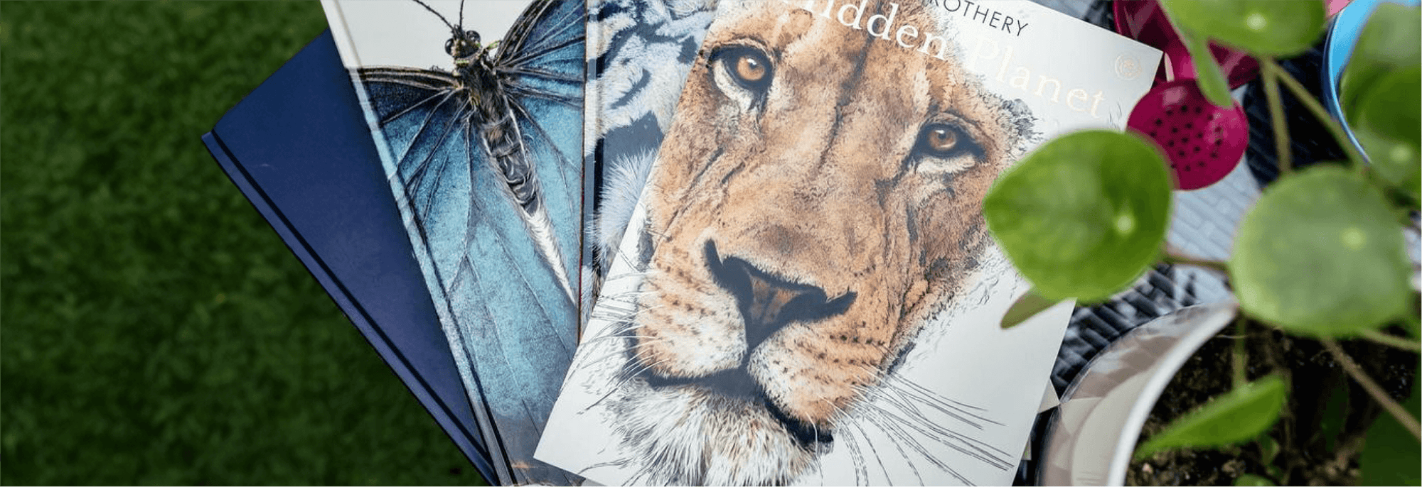 Ben Rothery illustrator | Hidden planet shop