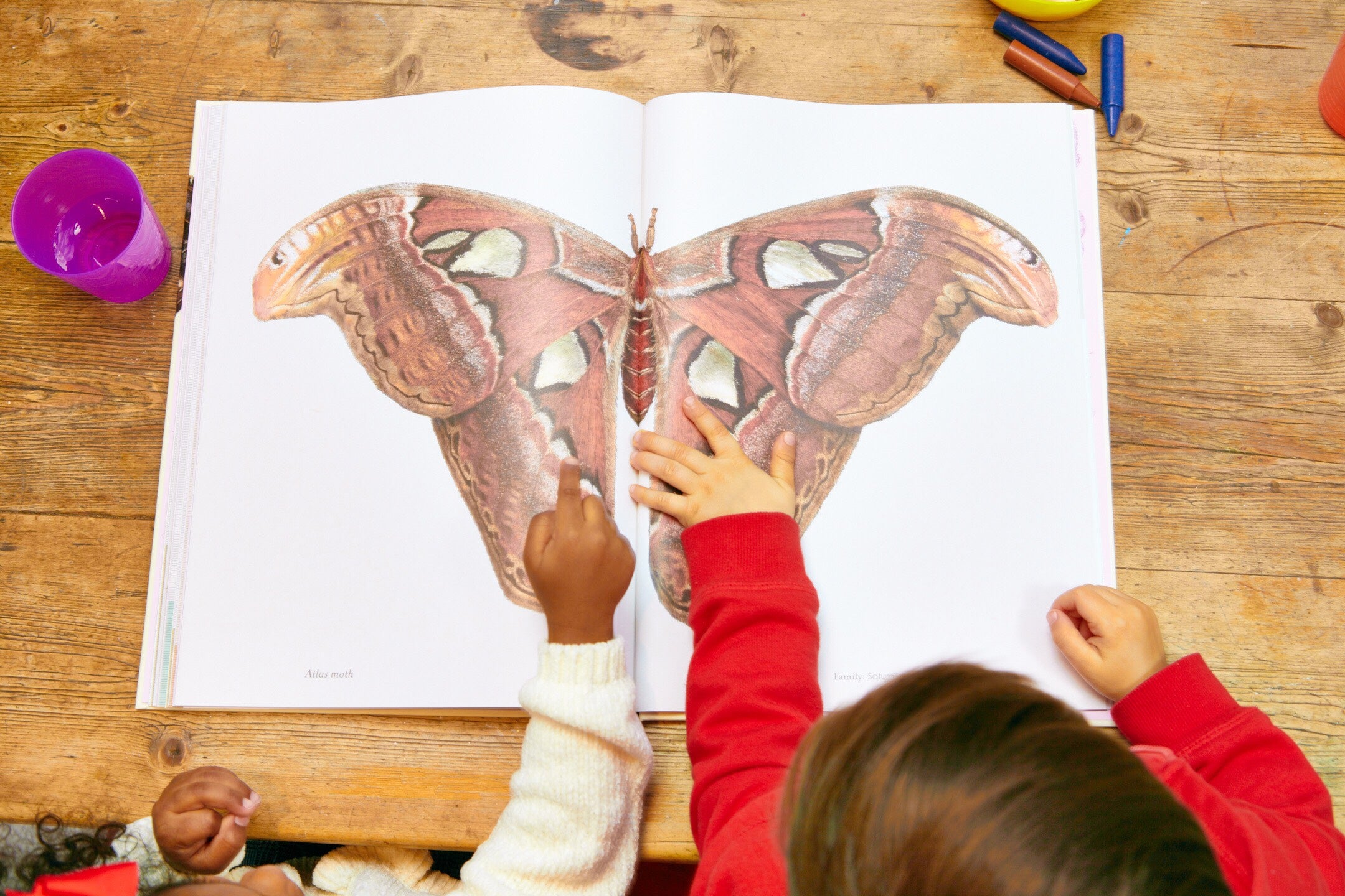 Books – Ben Rothery