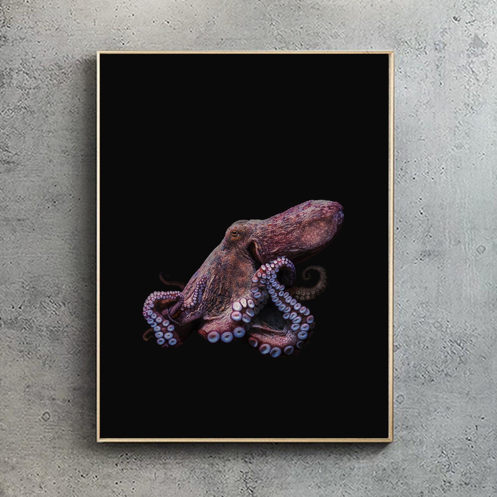 Common Octopus, Black edition - Wildlife Print | Hidden Planet – Ben ...