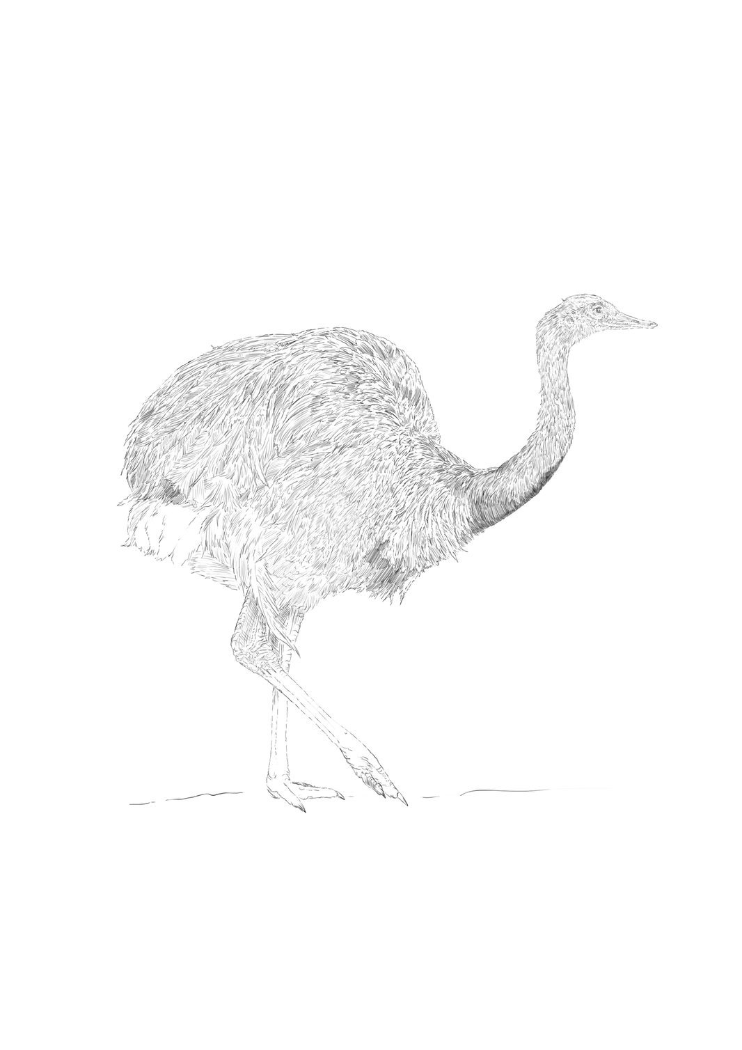 Welcome to the Bestiary – Ben Rothery