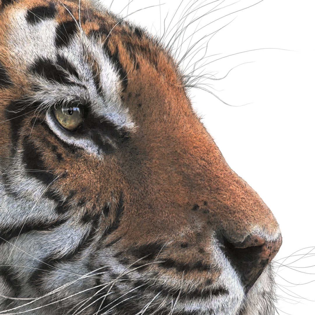 Products – Tagged "prints"– Ben Rothery