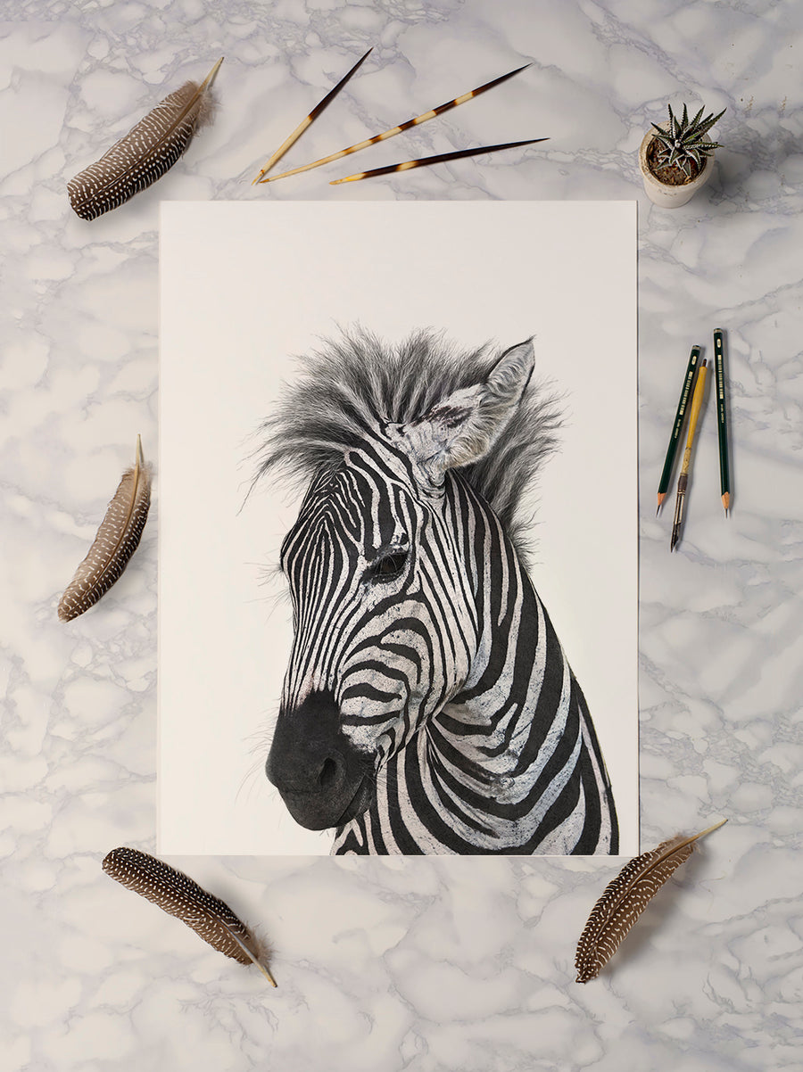 Plains Zebra - Wildlife Print | Hidden Planet – Ben Rothery